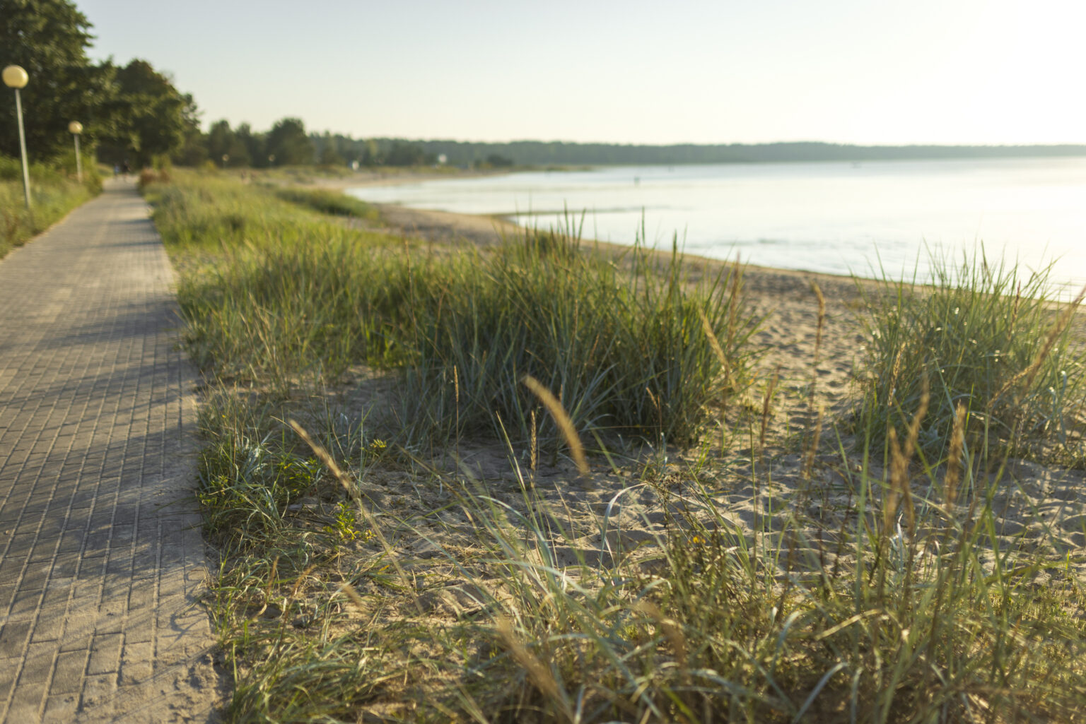 Reute Residentsid & Restoran Võsul